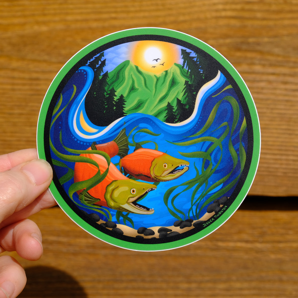 Summer Salmon Sticker – Jessica Thornton Designs